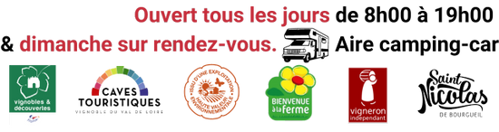 Les cubis de vin : Dégustez le vin autrement avec les Bag in Box (BIB ...